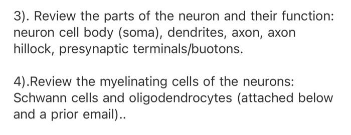 Solved 3). Review the parts of the neuron and their | Chegg.com