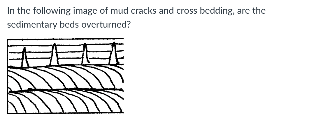 Solved In the following image of mud cracks and cross | Chegg.com