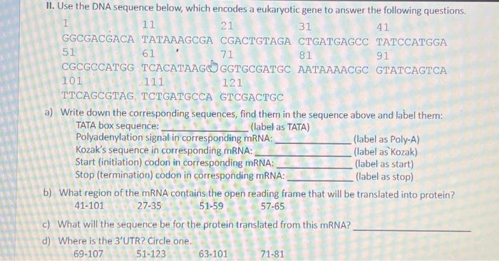 Solved I. Use the DNA sequence below, which encodes a | Chegg.com