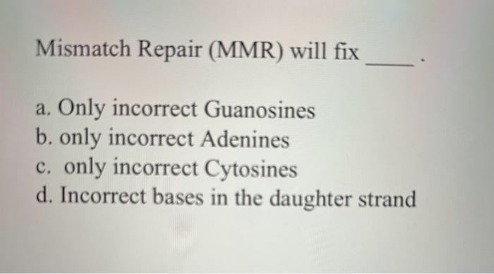 Solved Mismatch Repair (MMR) will fix a. Only incorrect | Chegg.com