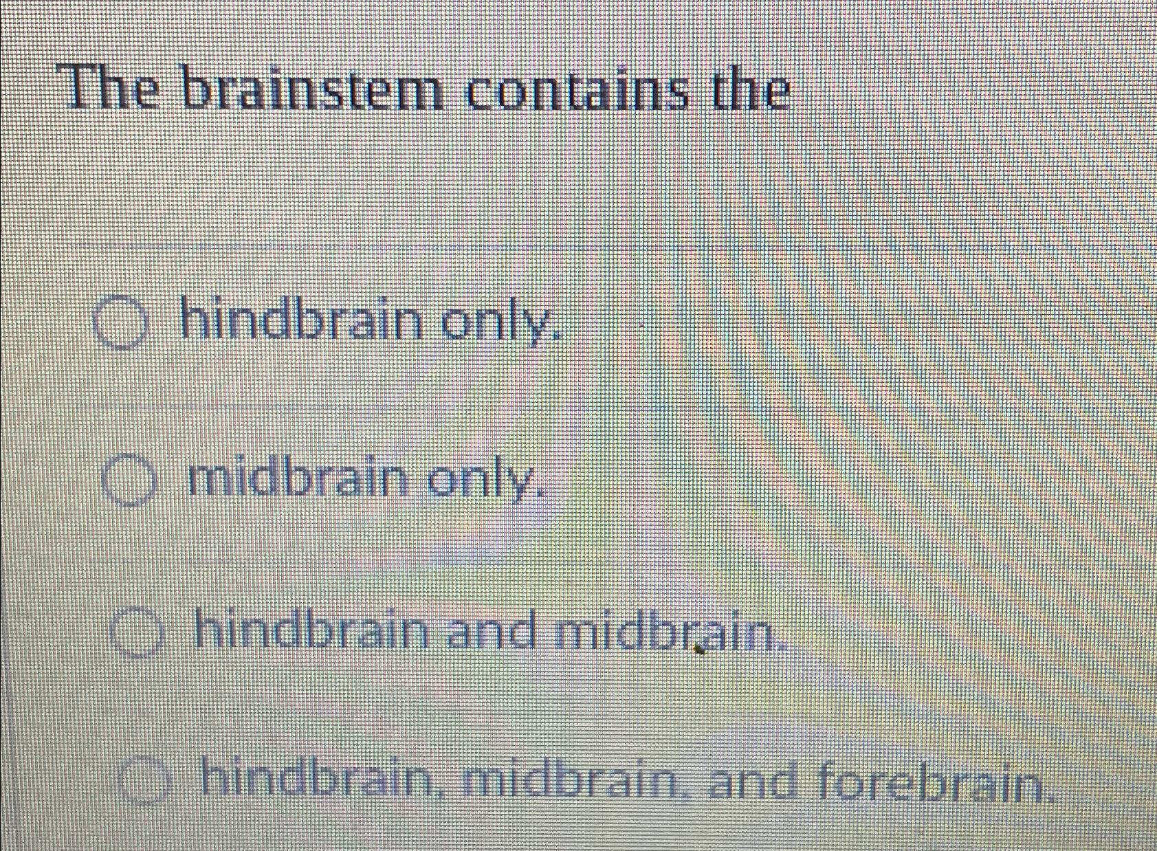 Solved The brainstem contains thehindbrain only.midbrain | Chegg.com