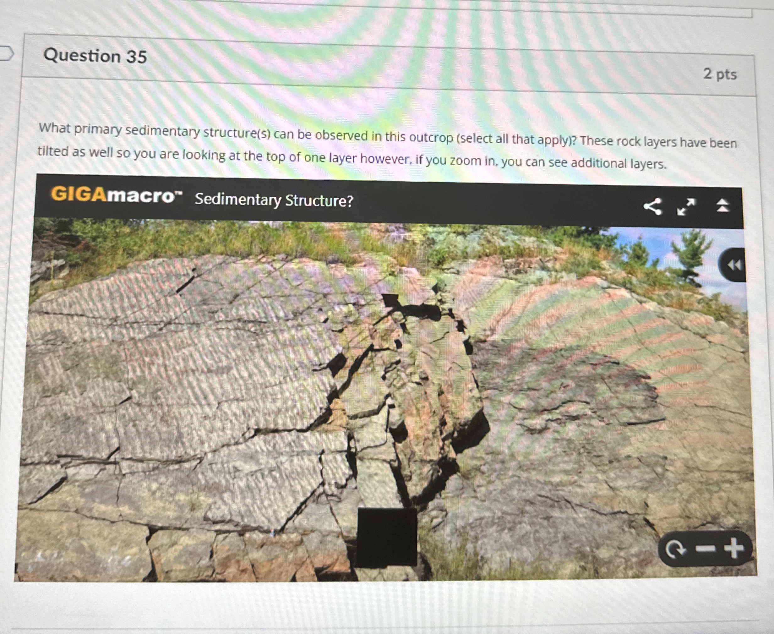 Solved Question 352 ﻿ptsWhat primary sedimentary | Chegg.com