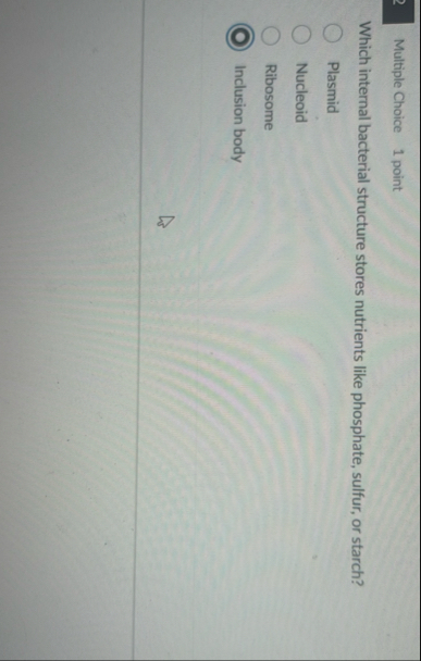 Solved Multiple Choice 1 ﻿pointWhich internal bacterial | Chegg.com