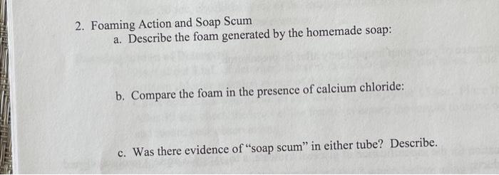 Solved Foaming Action and Soap Scum a. Describe the foam | Chegg.com