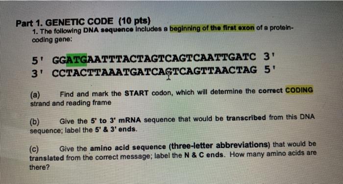 Solved Part 1. GENETIC CODE (10 pts) 1. The following DNA | Chegg.com