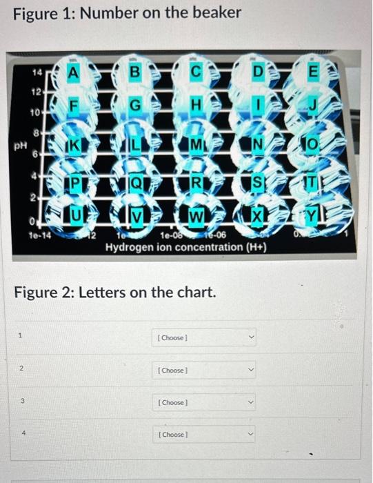 MATCHING: Match the following beakers (Figure 1: | Chegg.com