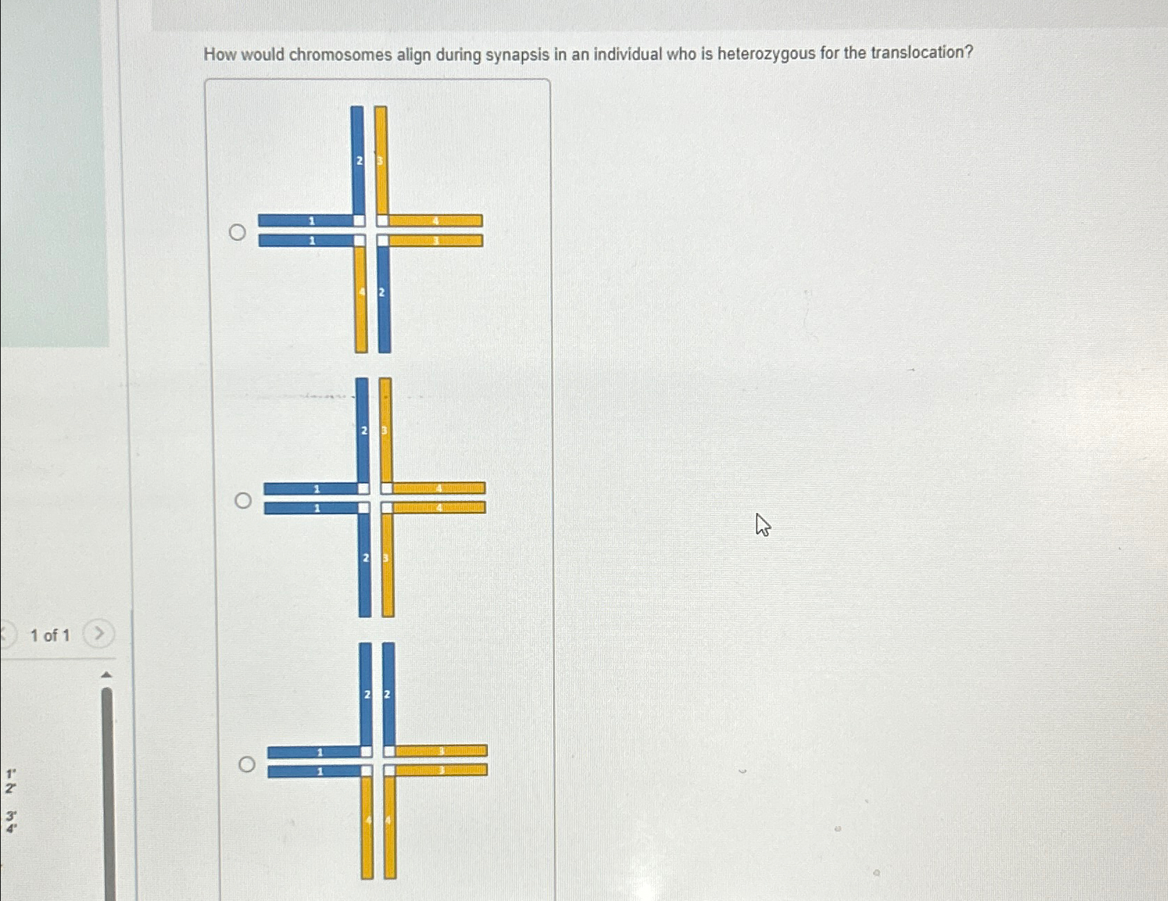 Solved How would chromosomes align during synapsis in an | Chegg.com