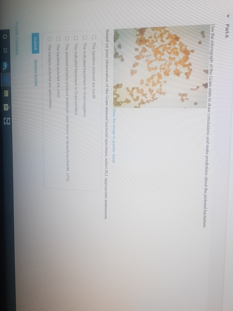 Solved Part A Use the micrograph of the Gram stain to draw | Chegg.com