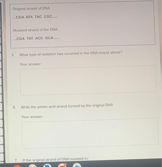 Solved Original strand of DNA ...CGA ATA TAC CGC..... | Chegg.com