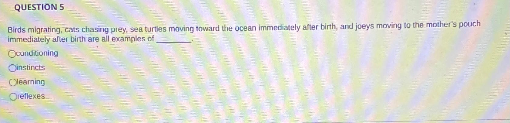 Solved QUESTION 5Birds migrating, cats chasing prey, sea | Chegg.com
