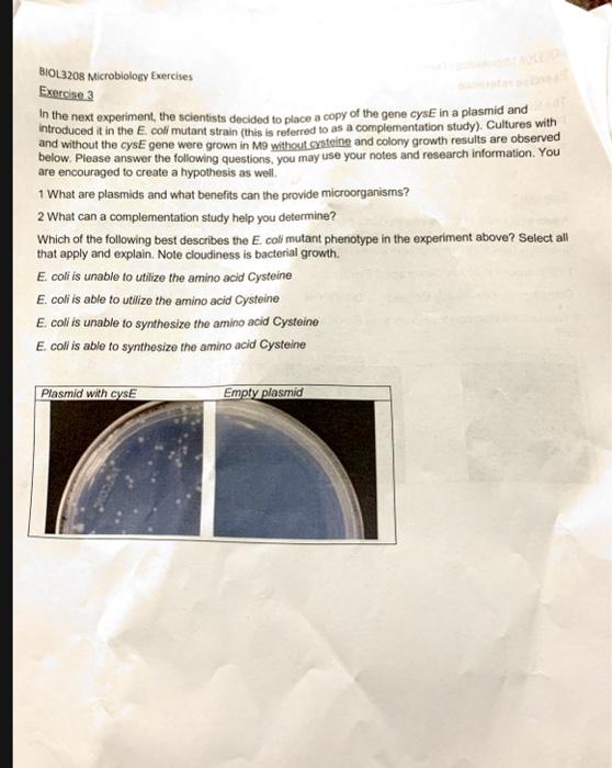 Solved B1OL3208 Microbiology Exercises Exercise 3 In the | Chegg.com