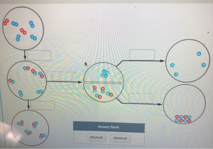 Solved Identify each transition in this flowchart as a | Chegg.com