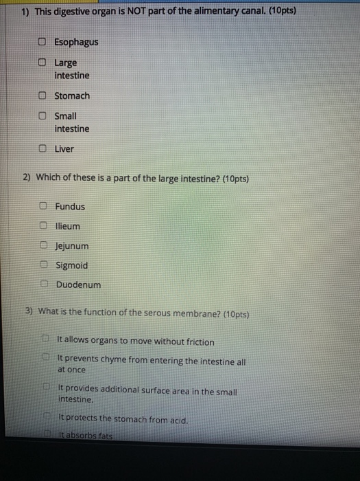 Solved 1) This digestive organ is NOT part of the alimentary | Chegg.com