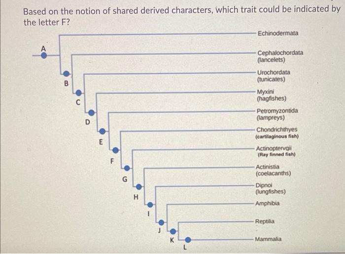 Solved Based on the notion of shared derived characters, | Chegg.com