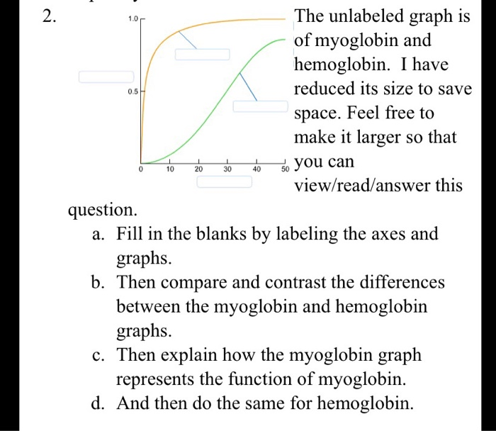 Solved The unlabeled graph is of myoglobin and hemoglobin. I | Chegg.com
