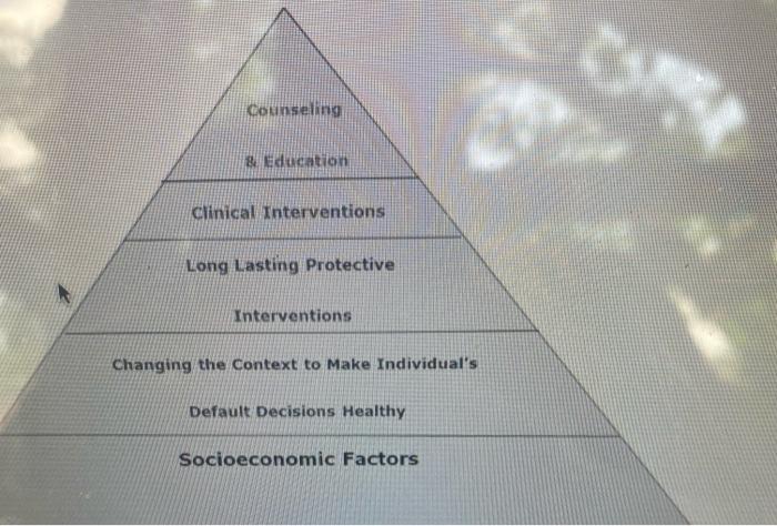 Solved Provide an example of an intervention/policy for the | Chegg.com