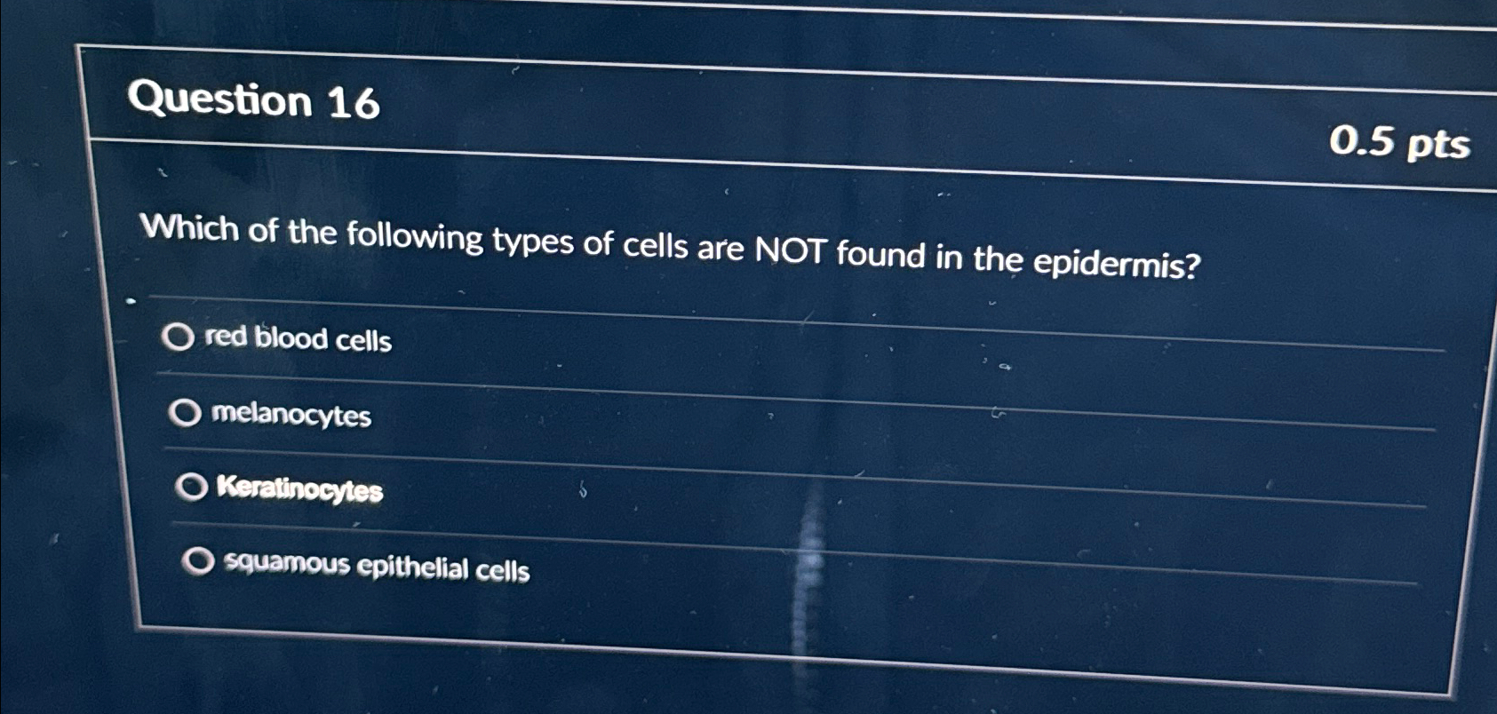 Solved Question 160.5ptsWhich of the following types of | Chegg.com