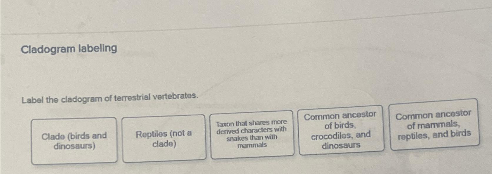 Solved Cladogram labellingLabel the cladogram of terrestrial | Chegg.com