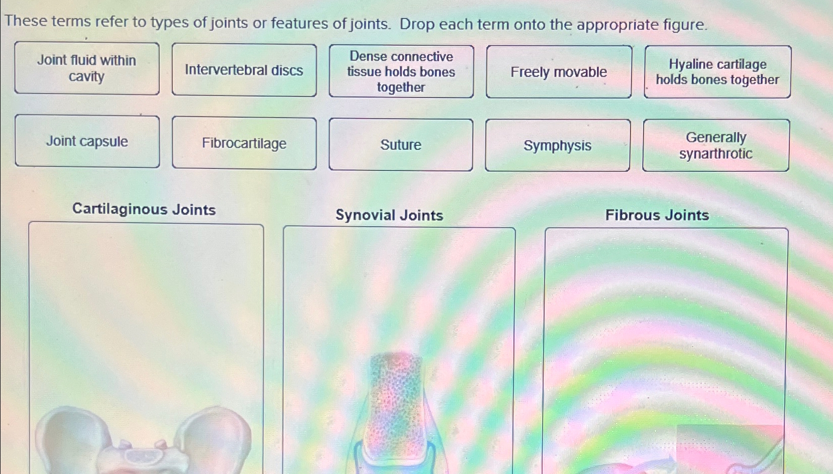 Solved These terms refer to types of joints or features of | Chegg.com