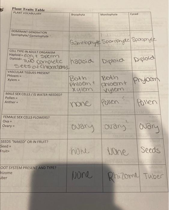 Solved Plant Traits Table Eudicot | Chegg.com