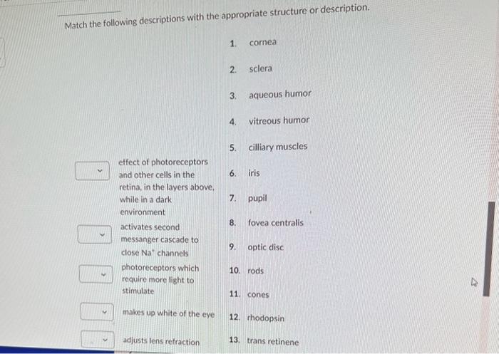 Solved Match the following descriptions with the appropriate | Chegg.com