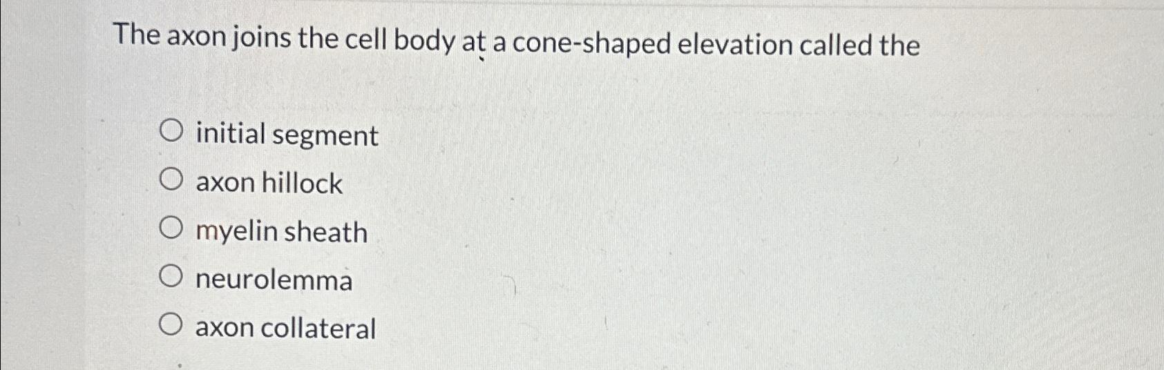 Solved The axon joins the cell body at a cone-shaped | Chegg.com