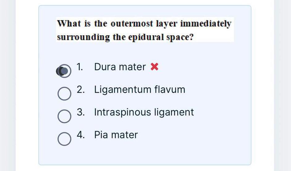 Solved What is the outermost layer immediately surrounding | Chegg.com