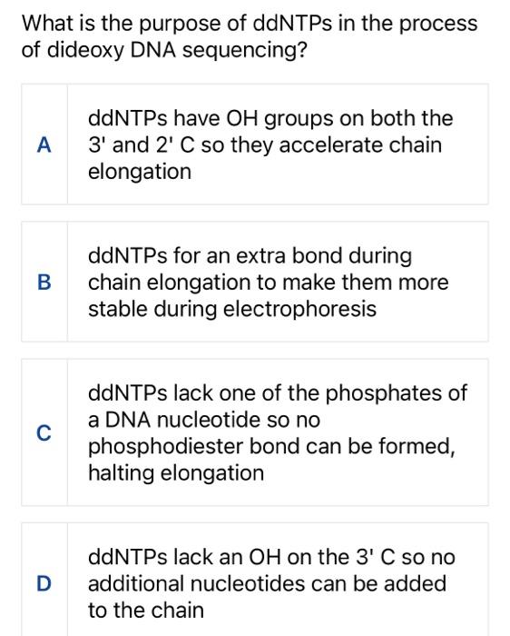 Solved What is the purpose of ddNTPs in the process of | Chegg.com