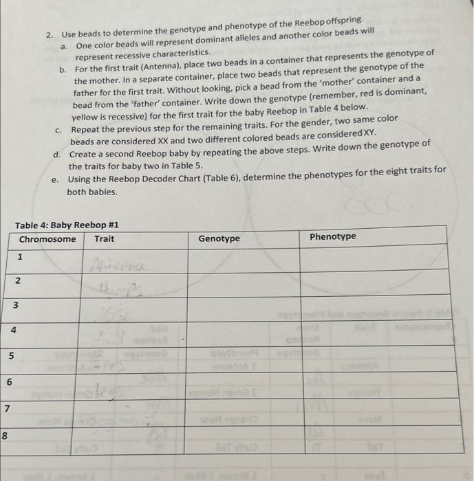 Solved 2. Use beads to determine the genotype and phenotype | Chegg.com