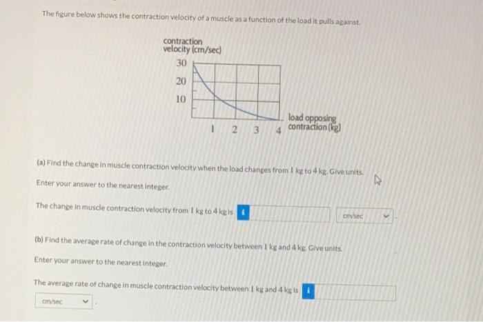 Solved The Figure Below Shows The Contraction Velocity Of A