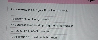 High Quality SOLUTION In humans, the lungs inflate because of ...