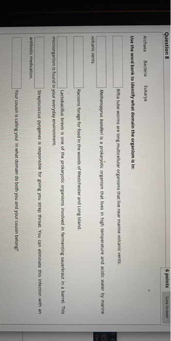 Solved Question 8 6 points Save Answer Archaea Bacteria | Chegg.com