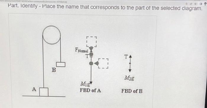 Solved Part. Identify - Place the name that corresponds to | Chegg.com