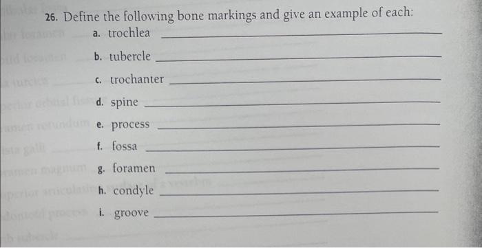 Solved 26. Define the following bone markings and give an | Chegg.com