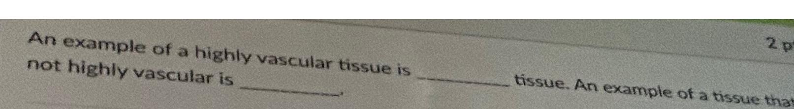 Solved An example of a highly vascular tissue is not highly | Chegg.com