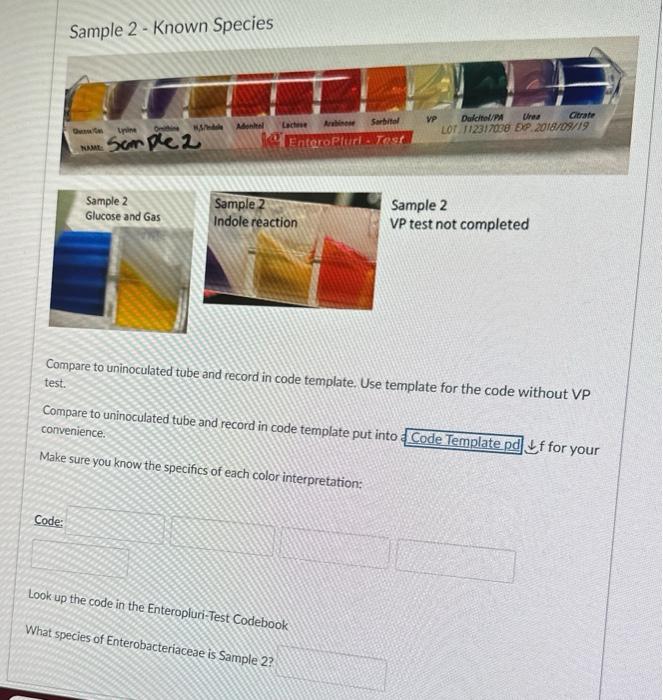 Solved Sterile EnteroPluti-Test tube: EnteroPluri-Test | Chegg.com