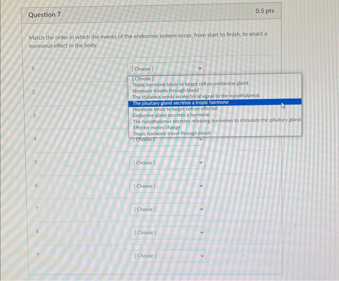 Solved Match the order in which the events of the endocrine | Chegg.com