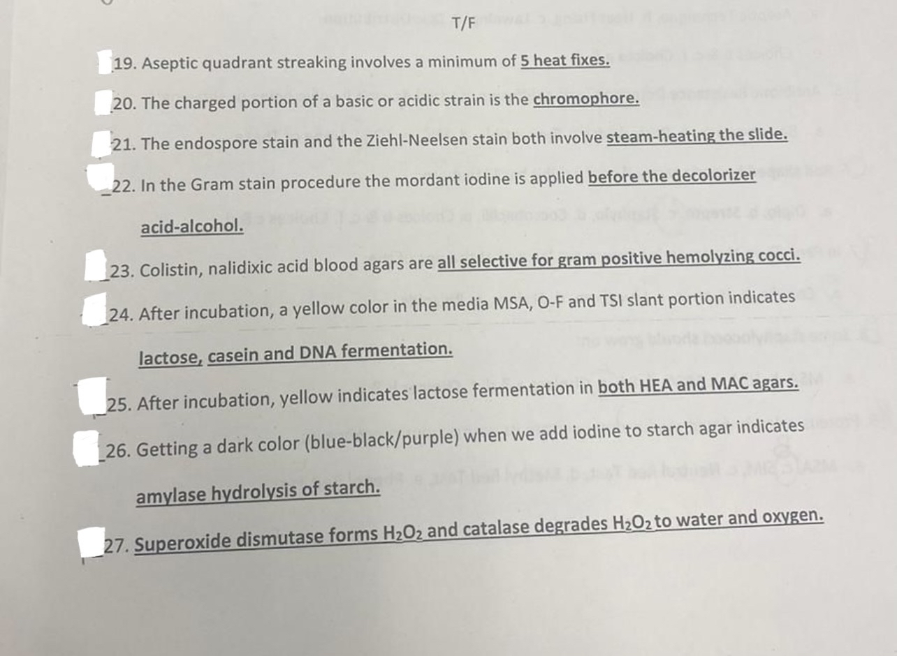 Solved T/F19. ﻿Aseptic quadrant streaking involves a minimum | Chegg.com