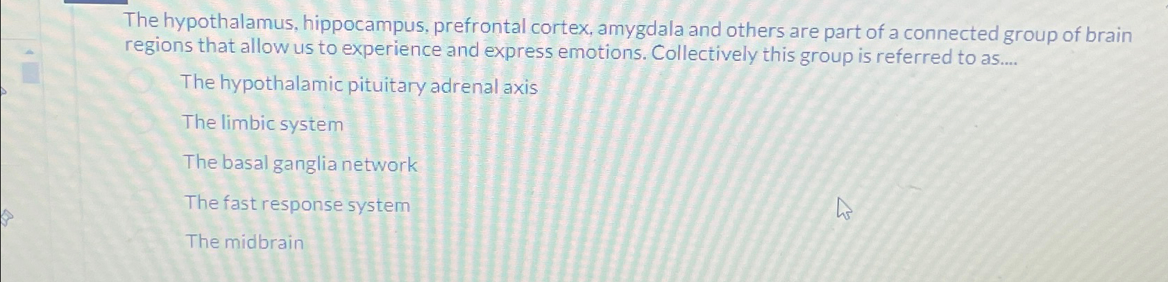 Solved The hypothalamus, hippocampus, prefrontal cortex, | Chegg.com