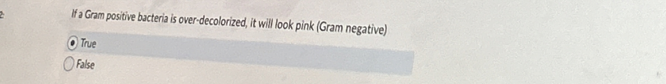 Solved If a Gram positive bacteria is over-decolorized, it | Chegg.com