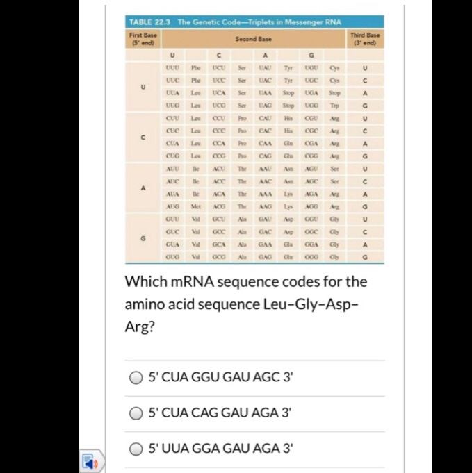 Solved Which is not a stop codon? O UAA O UGC OUAG O UGA | Chegg.com