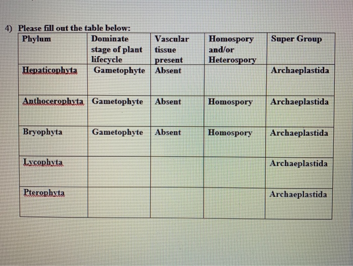 Solved Super Group 4) Please fill out the table below: | Chegg.com