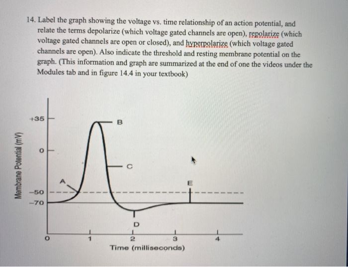 Solved 14. Label the graph showing the voltage vs. time | Chegg.com