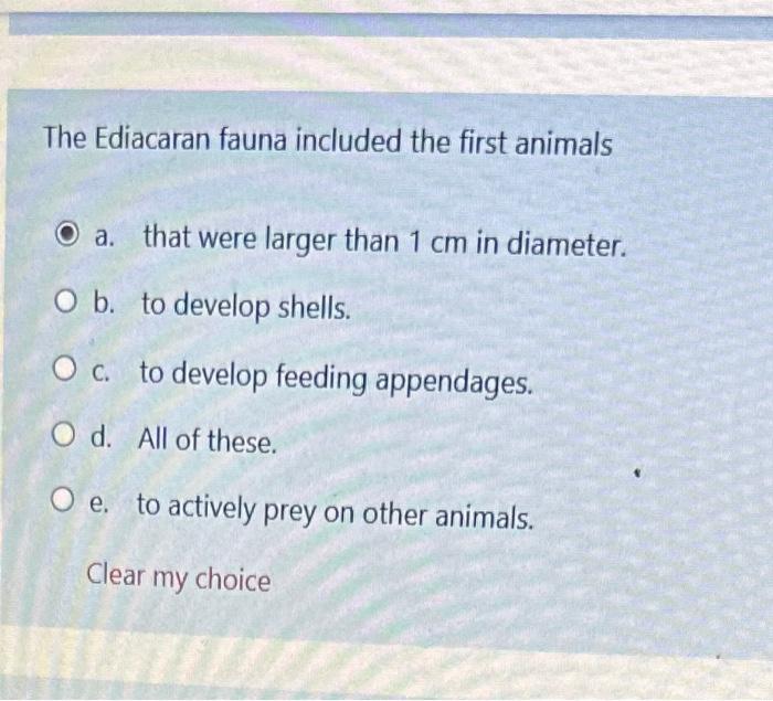 Solved The Ediacaran fauna included the first animals a. | Chegg.com