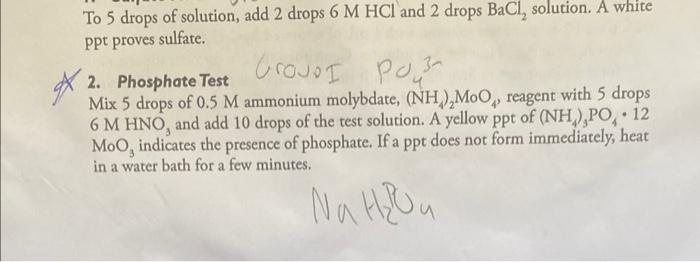 Solved for the sulfate test - use NaSo4 as starting solution | Chegg.com