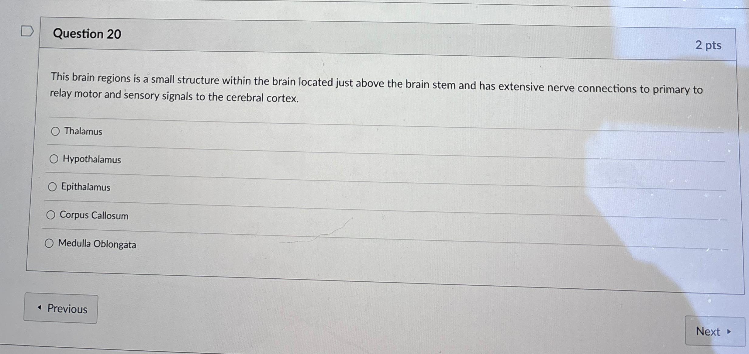 Solved Question 202 ﻿ptsThis brain regions is a small | Chegg.com