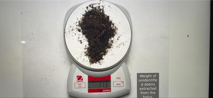 Solved View the photos to gather information regarding the | Chegg.com