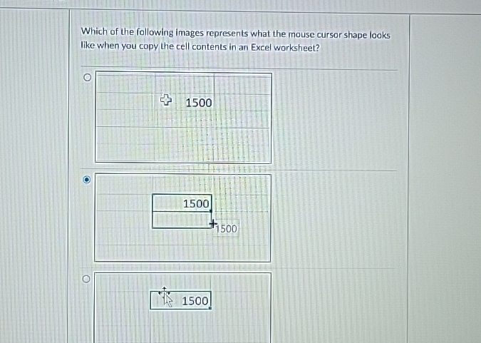Solved Which of the following images represents what the | Chegg.com