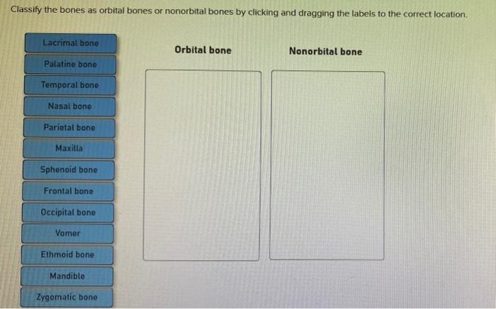 Solved Classify the bones as orbital bones or nonorbital | Chegg.com