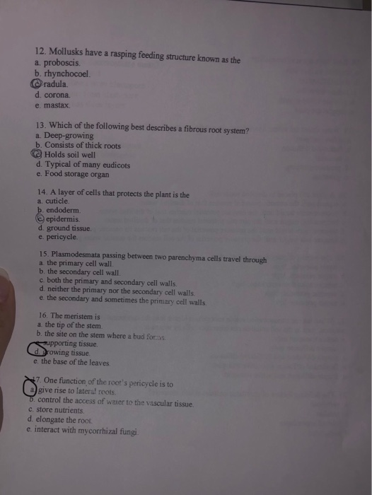 Solved 12. Mollusks have a rasping feeding structure known | Chegg.com